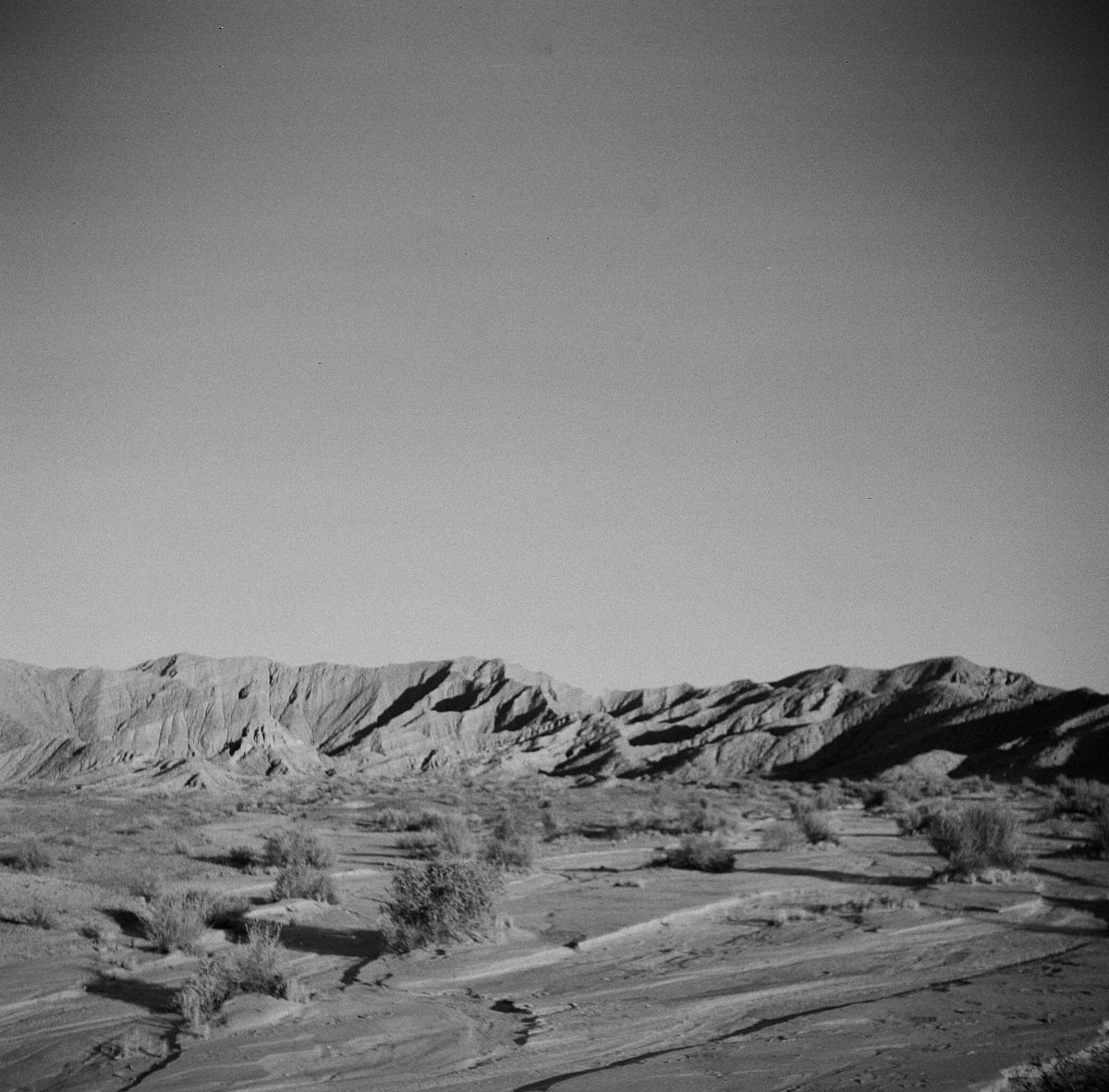 Frugal Film Project – Dan Marinelli – The Frugal Film Project